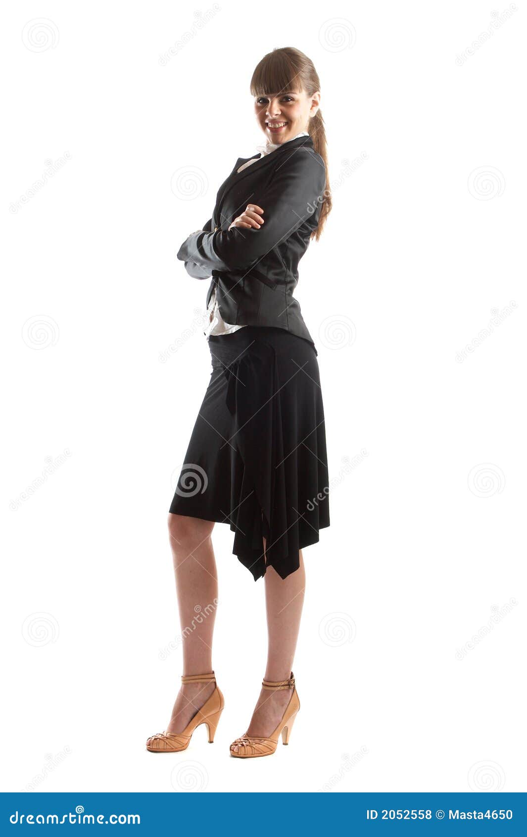 Business Formal Pose stock photo. Image of formal, friendly - 2052558