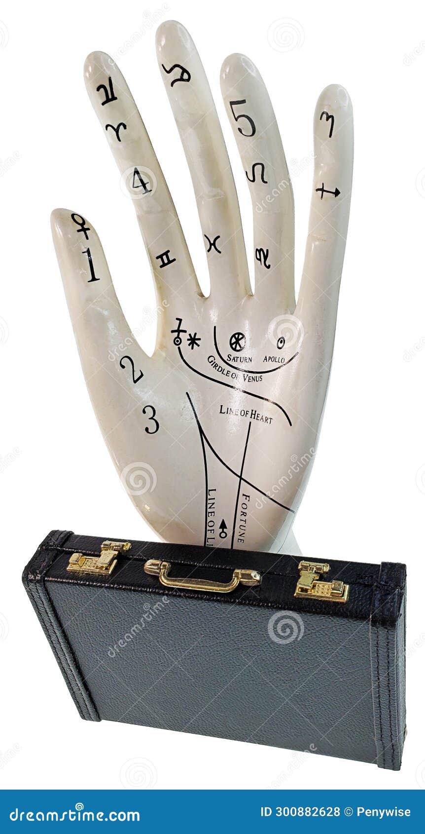 Business Fortune Telling Hand Stock Photo - Image of transaction, model ...