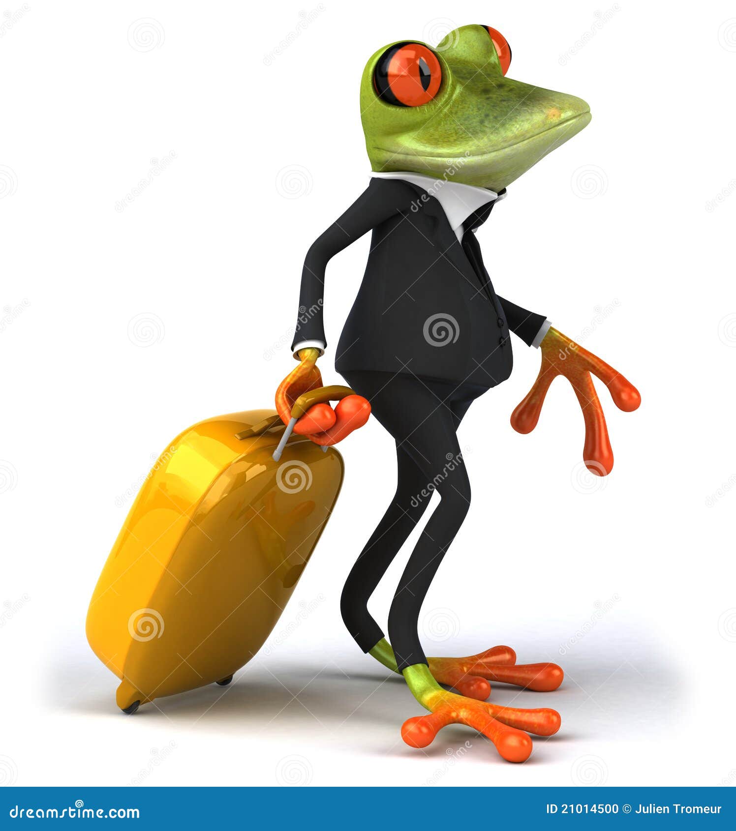 Business frog stock illustration. Illustration of closeup - 21014500