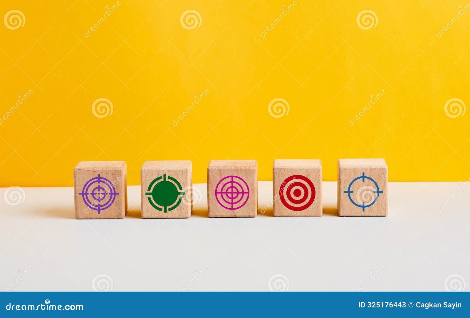 Business Goal Diversification. Target Customer Identification ...