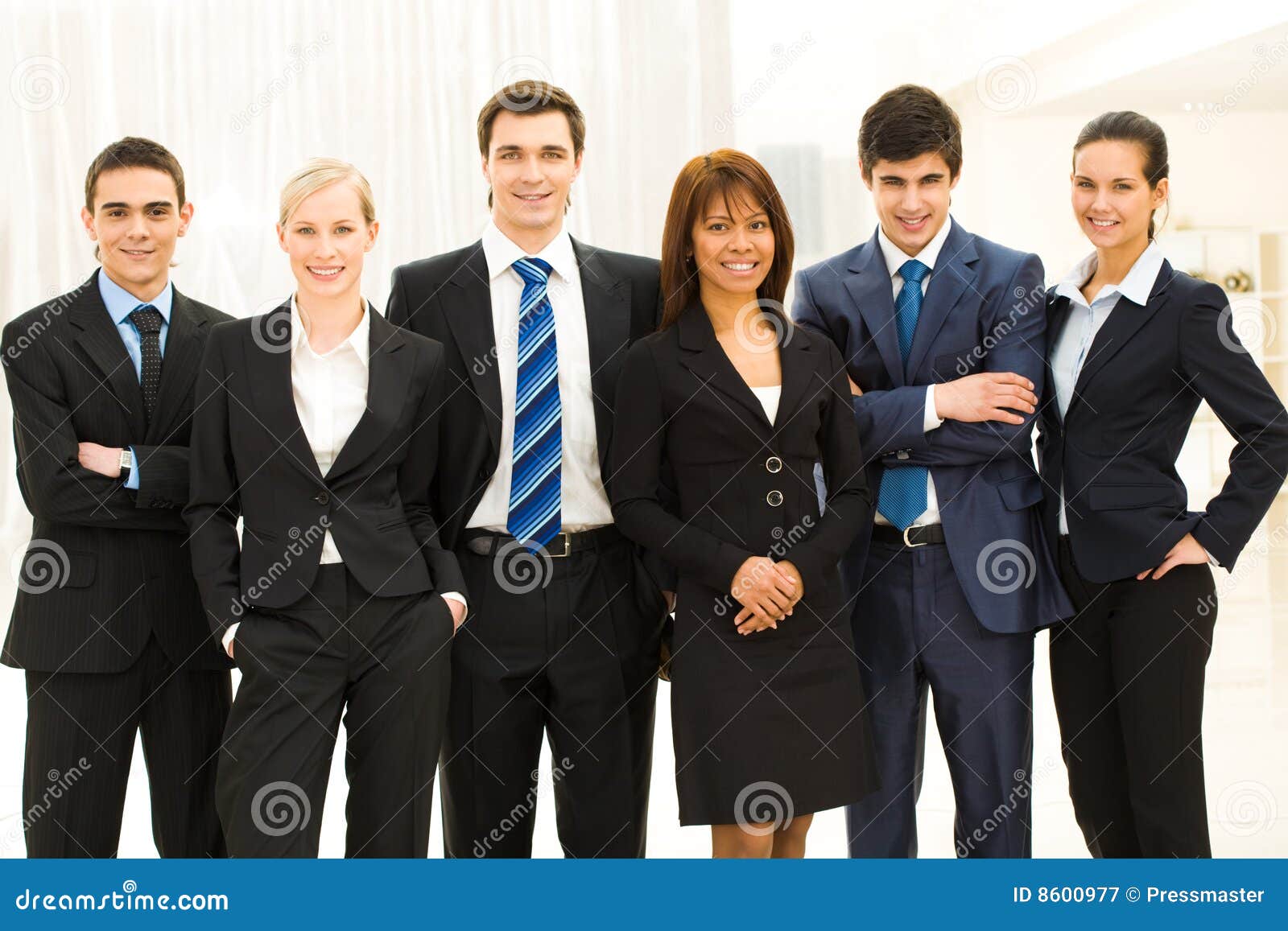 Business group stock image. Image of company, business - 8600977