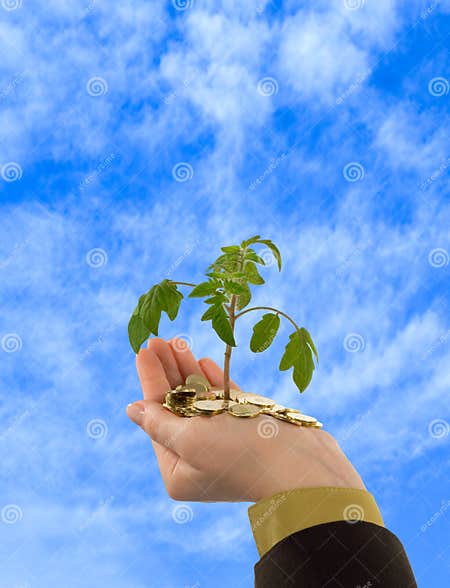 Business Growth Perspective Stock Photo - Image of foresee, growing ...