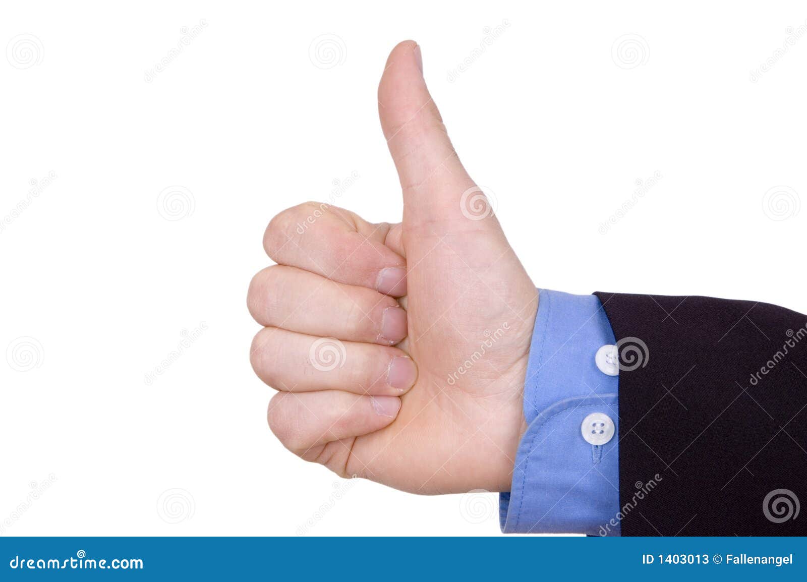 Business Hand Picture. Image: 1403013