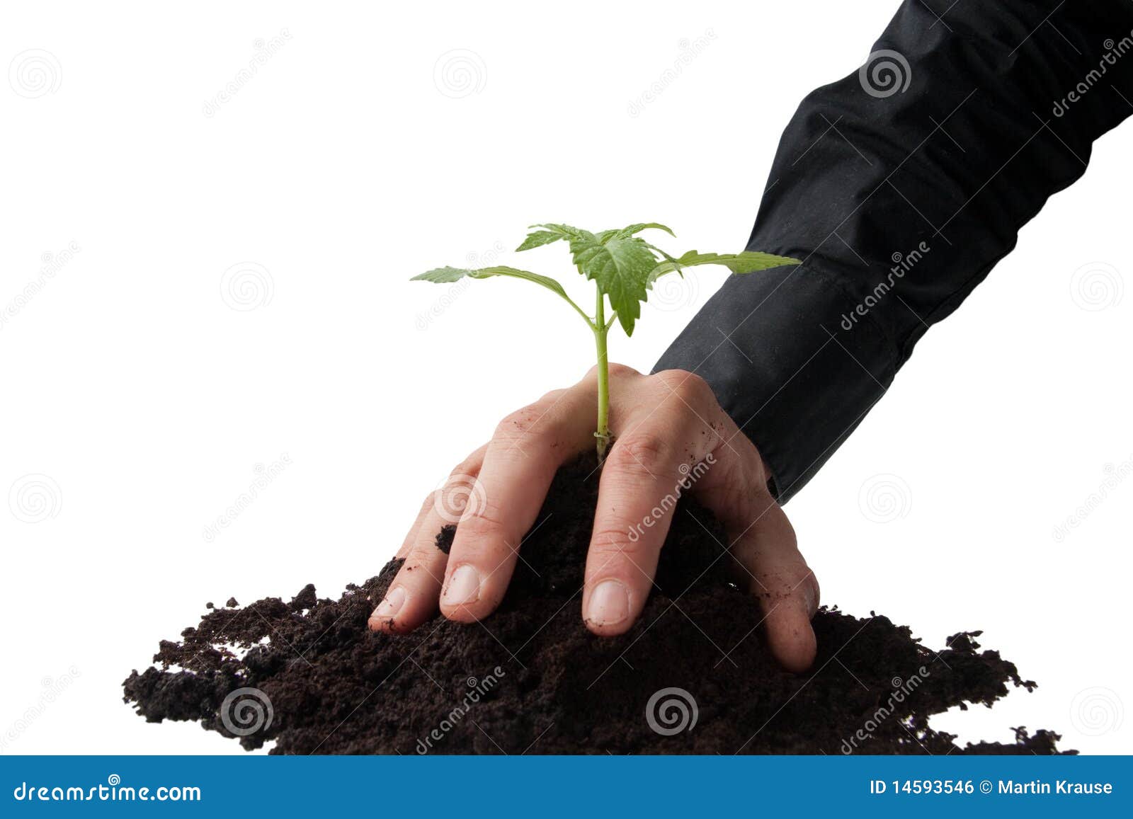 Business Hand Grasping a Young Stock Photo - Image of isolated, hand ...