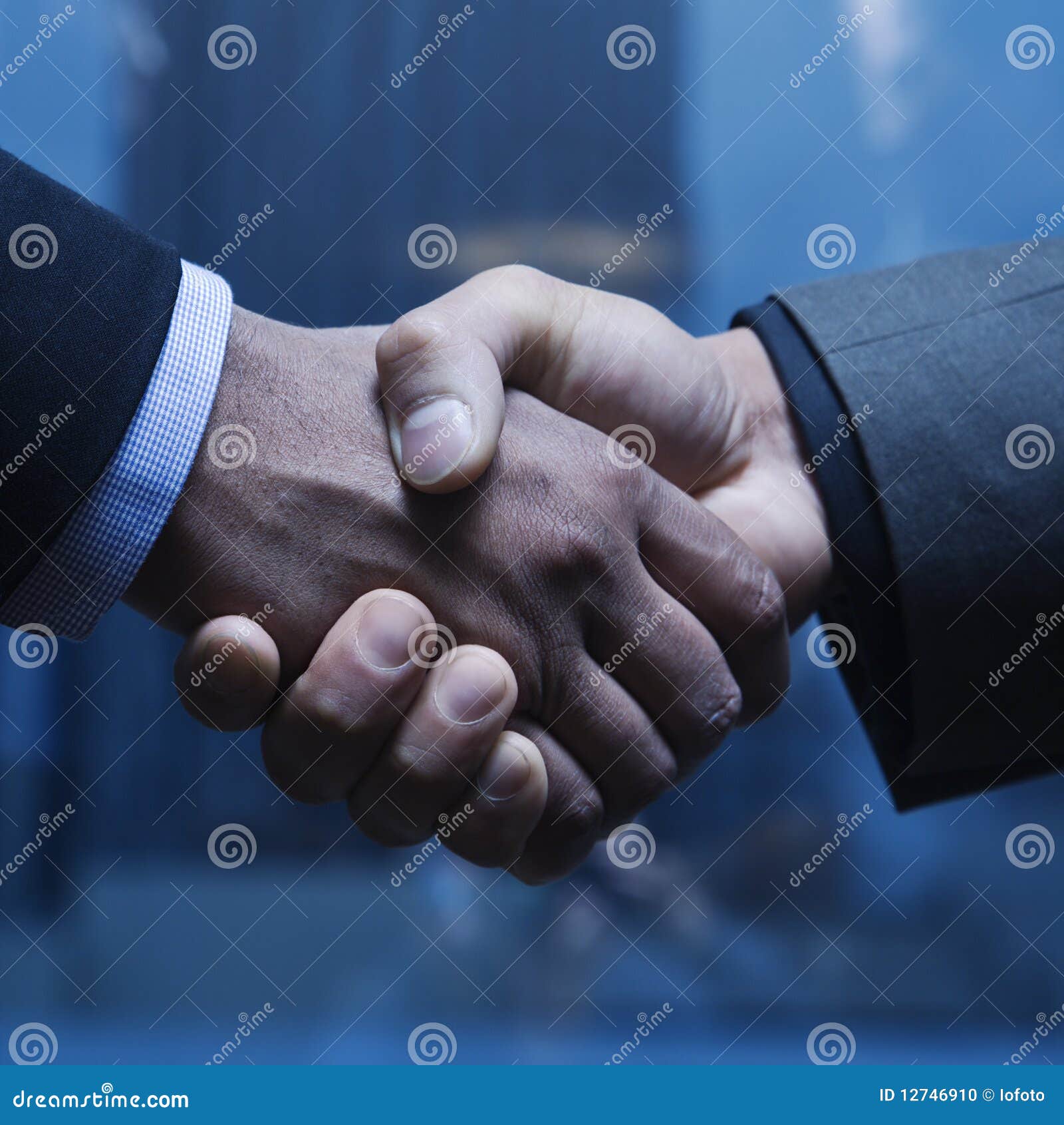 Business Handshake stock photo. Image of diversity, african - 12746910