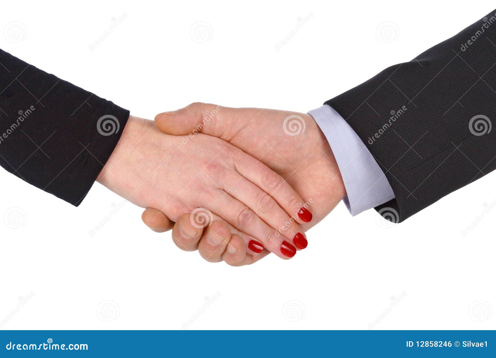 Business handshake stock photo. Image of commerce, adult - 12858246