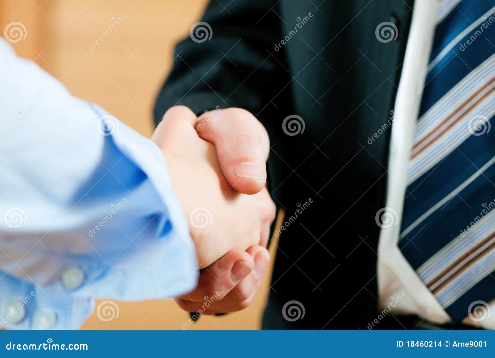 Business Handshake stock photo. Image of agree, female - 18460214