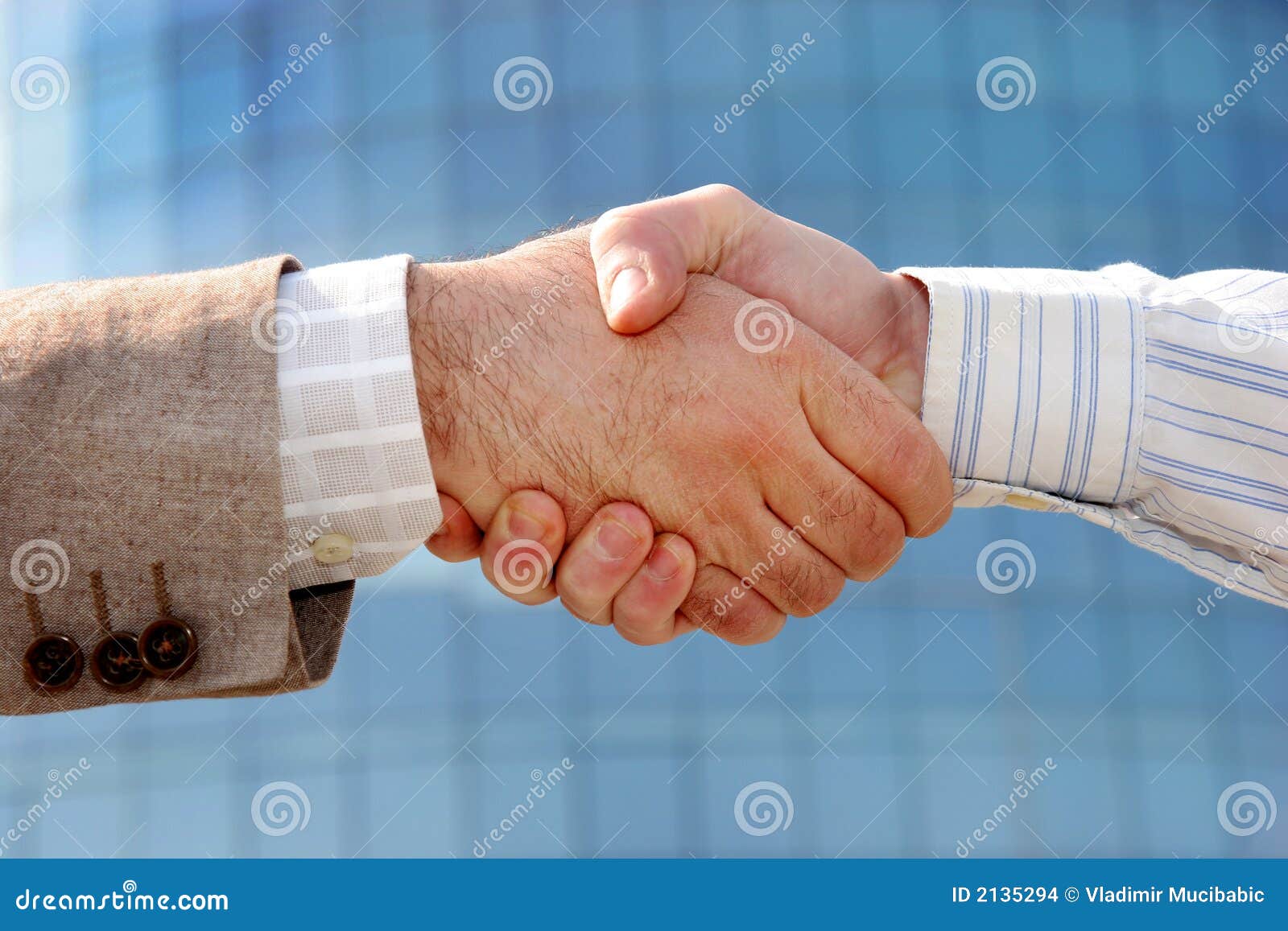 Business handshake stock photo. Image of architecture - 2135294