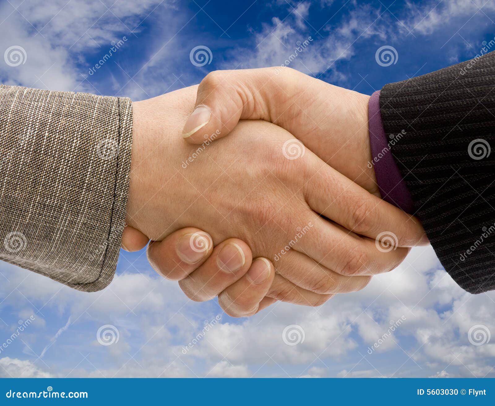Business handshake stock photo. Image of formal, hand - 5603030