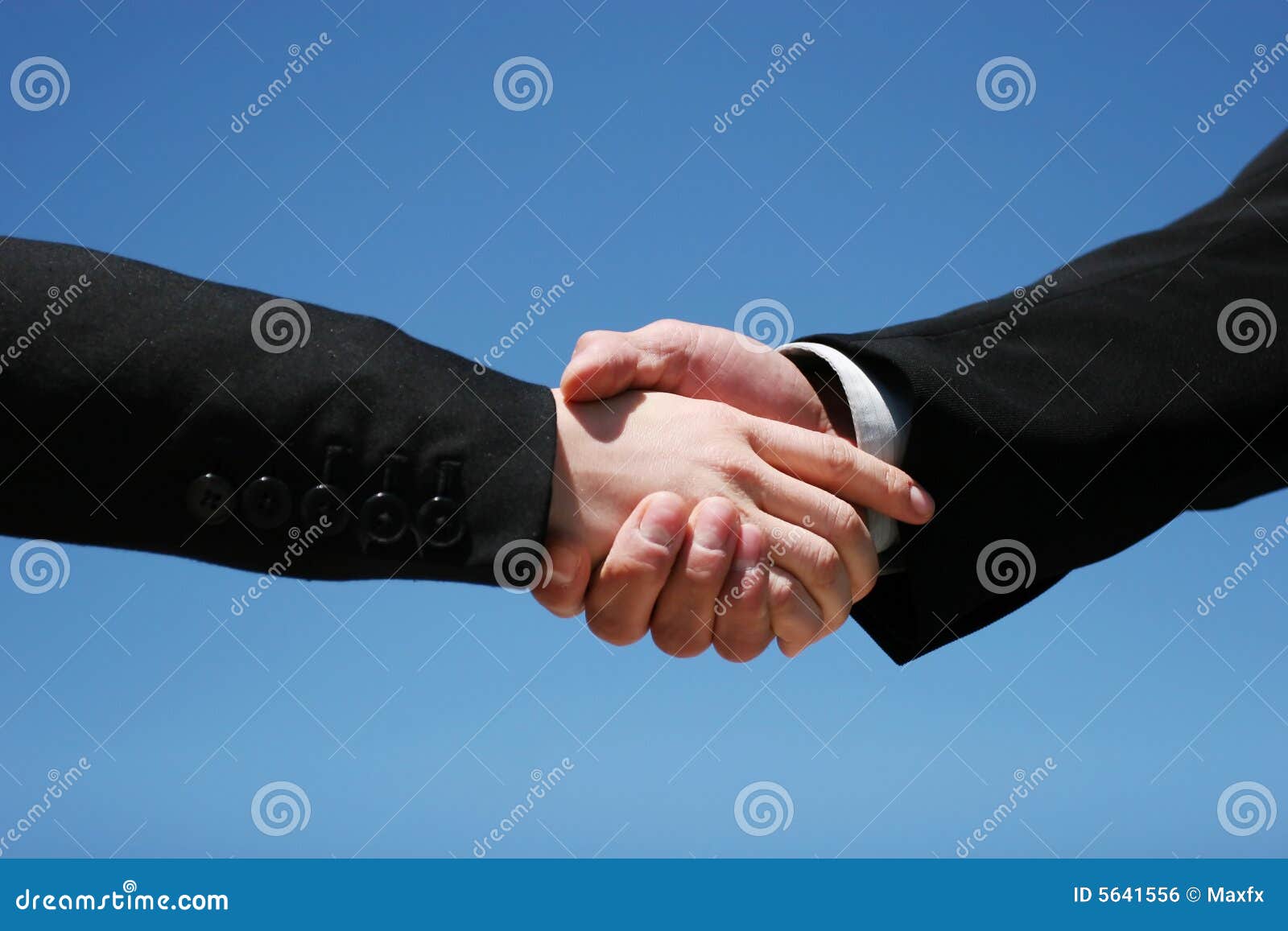 Business handshake stock photo. Image of powerful, corporate - 5641556