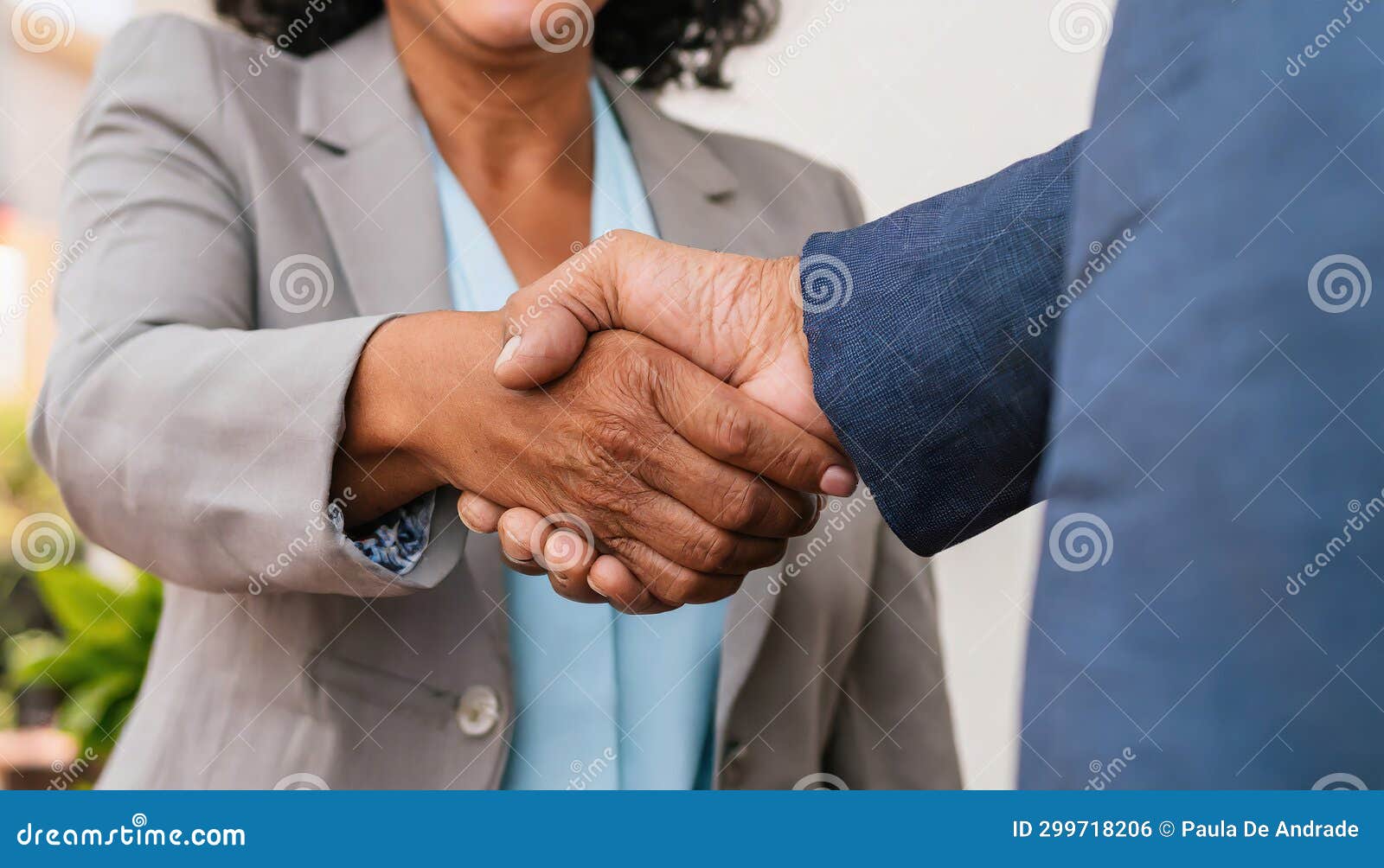 Handshake, Old Senior Man And Young Woman. Professional People Shaking ...