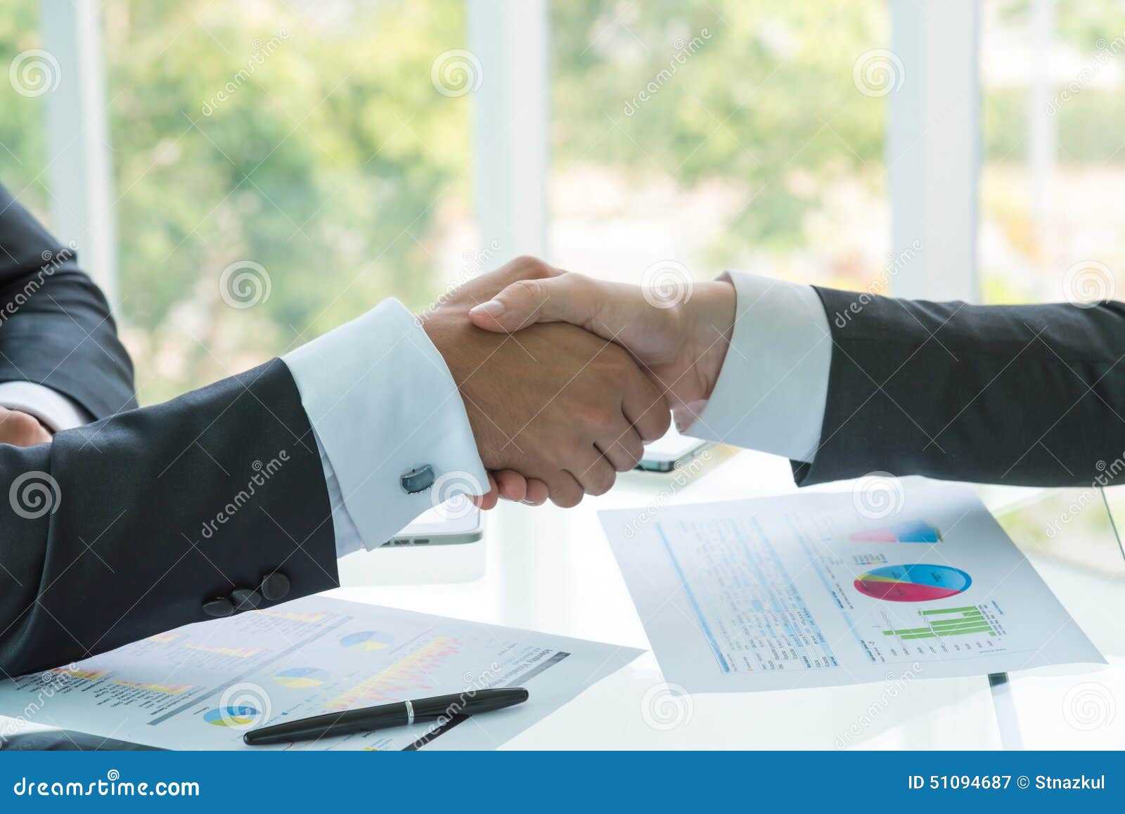 Business handshake stock image. Image of deal, hand, agree - 51094687