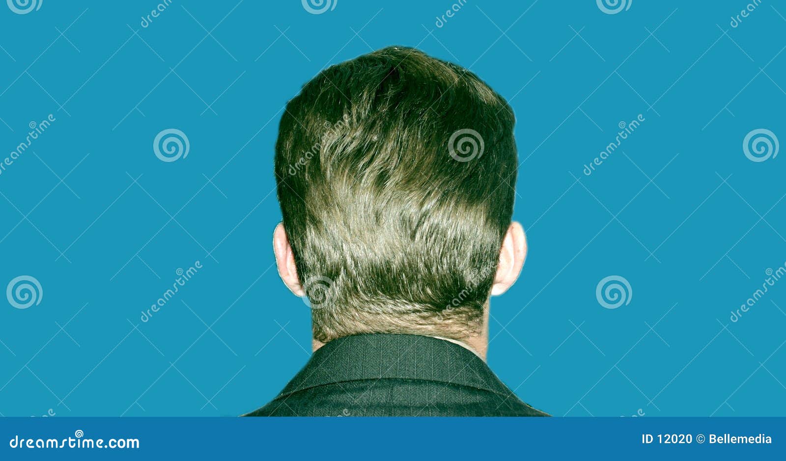 Business head stock photo. Image of full, details, thinker - 12020