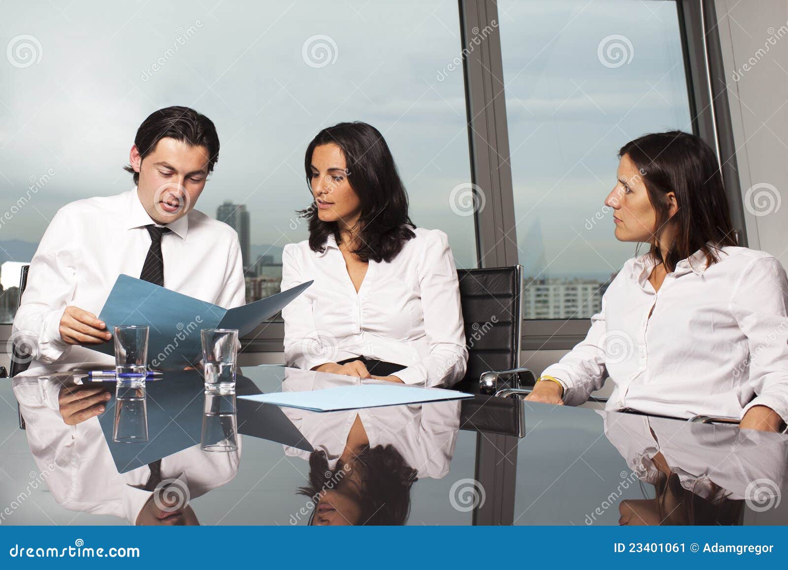 Business interview stock image. Image of businesswoman - 23401061