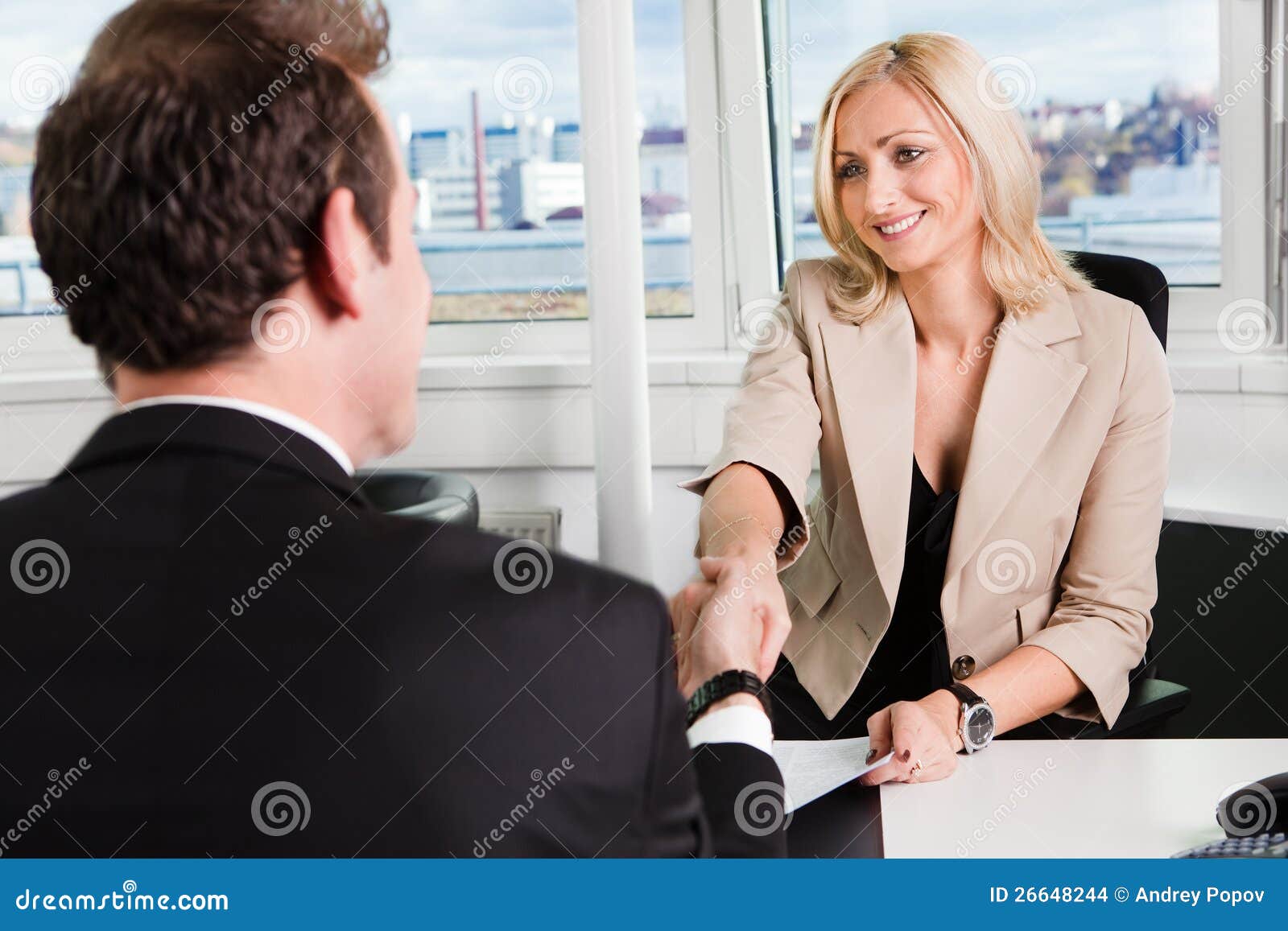 Business Interview stock photo. Image of female, caucasian - 26648244