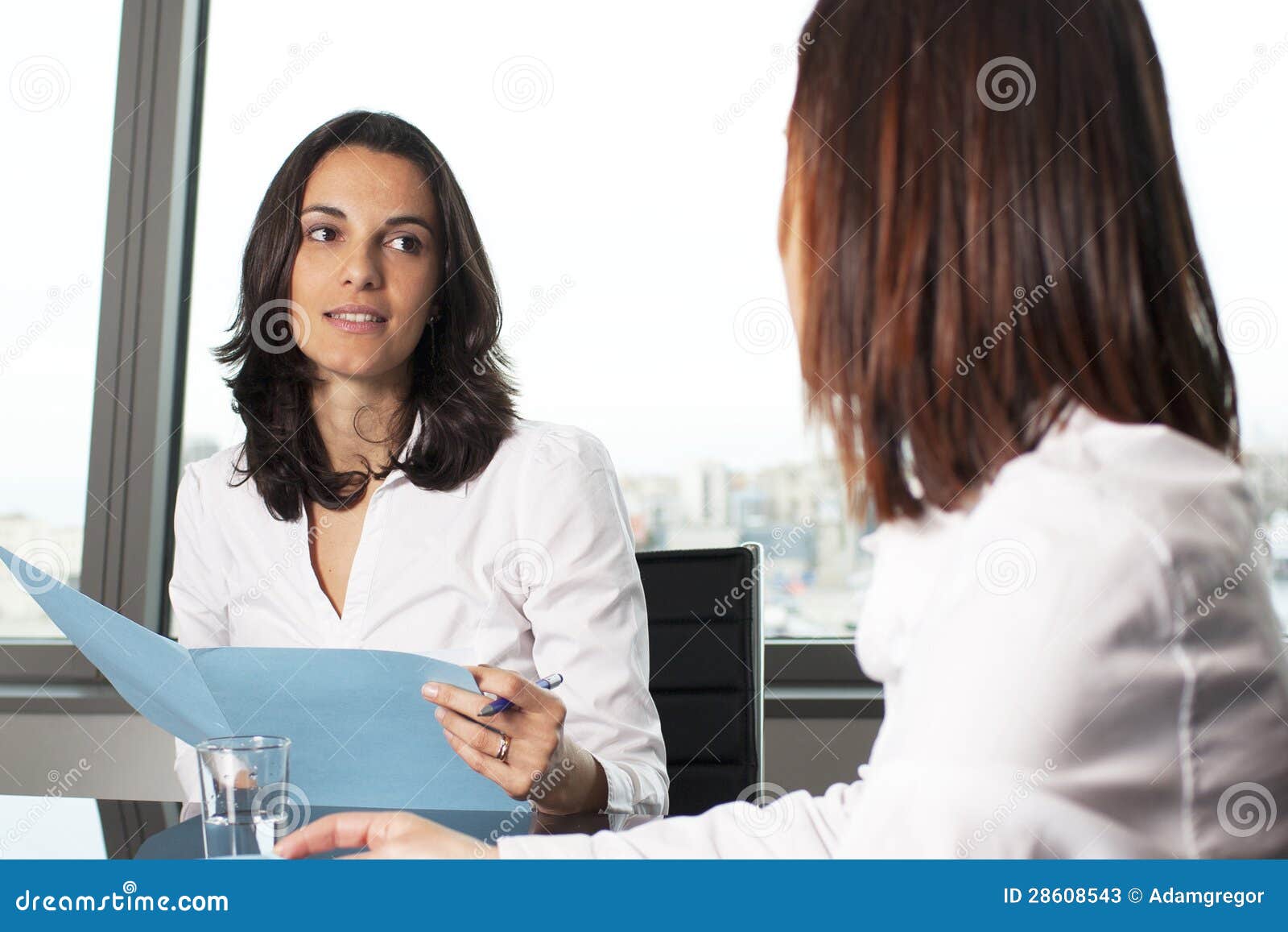 Business interview stock image. Image of business, hire - 28608543