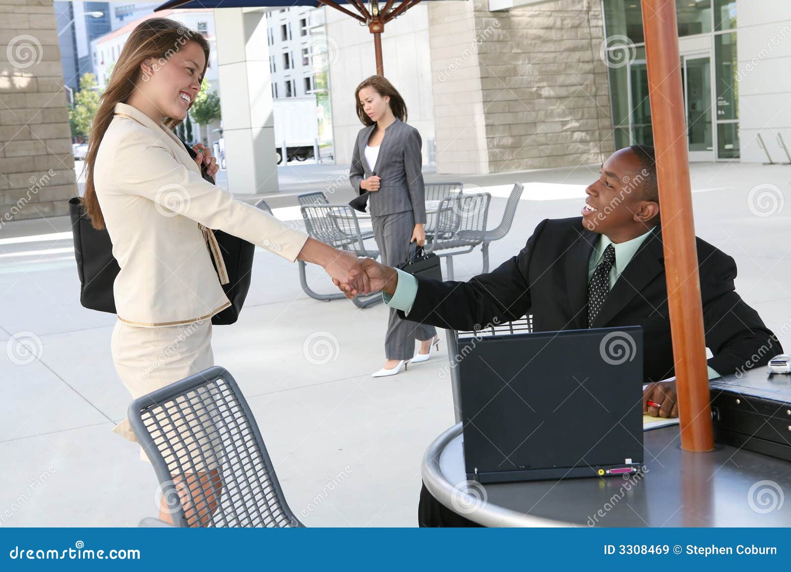 Business Introduction stock image. Image of female, career - 3308469