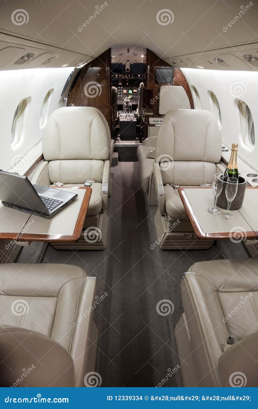 Gulfstream Jet Interior