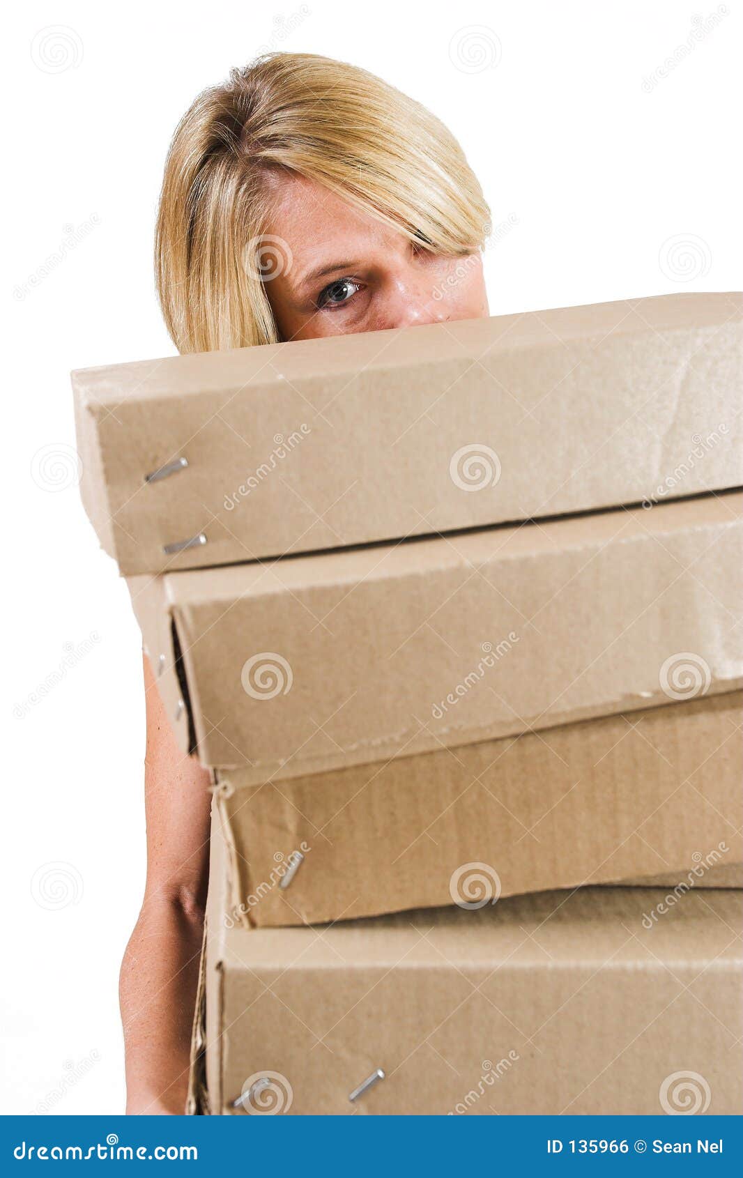 Business Lady #25 stock photo. Image of female, carrying - 135966