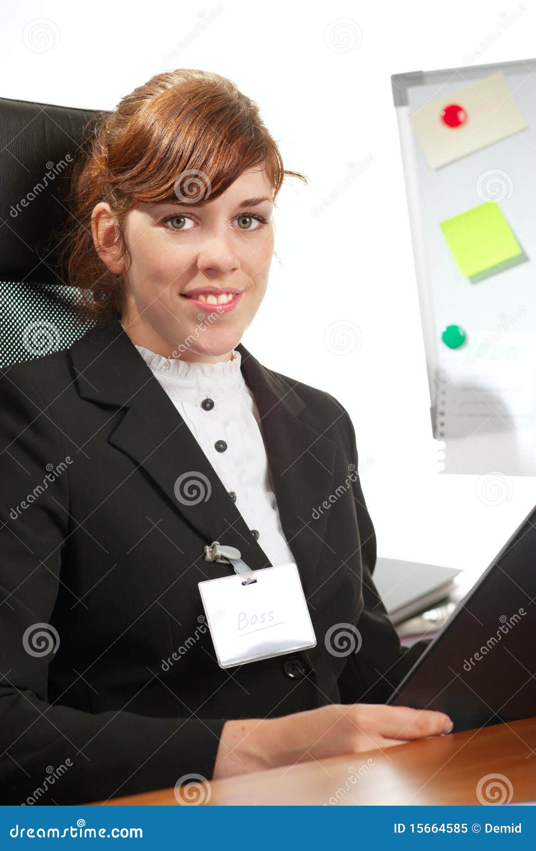 Business lady at a desk stock image. Image of paper, learning - 15664585