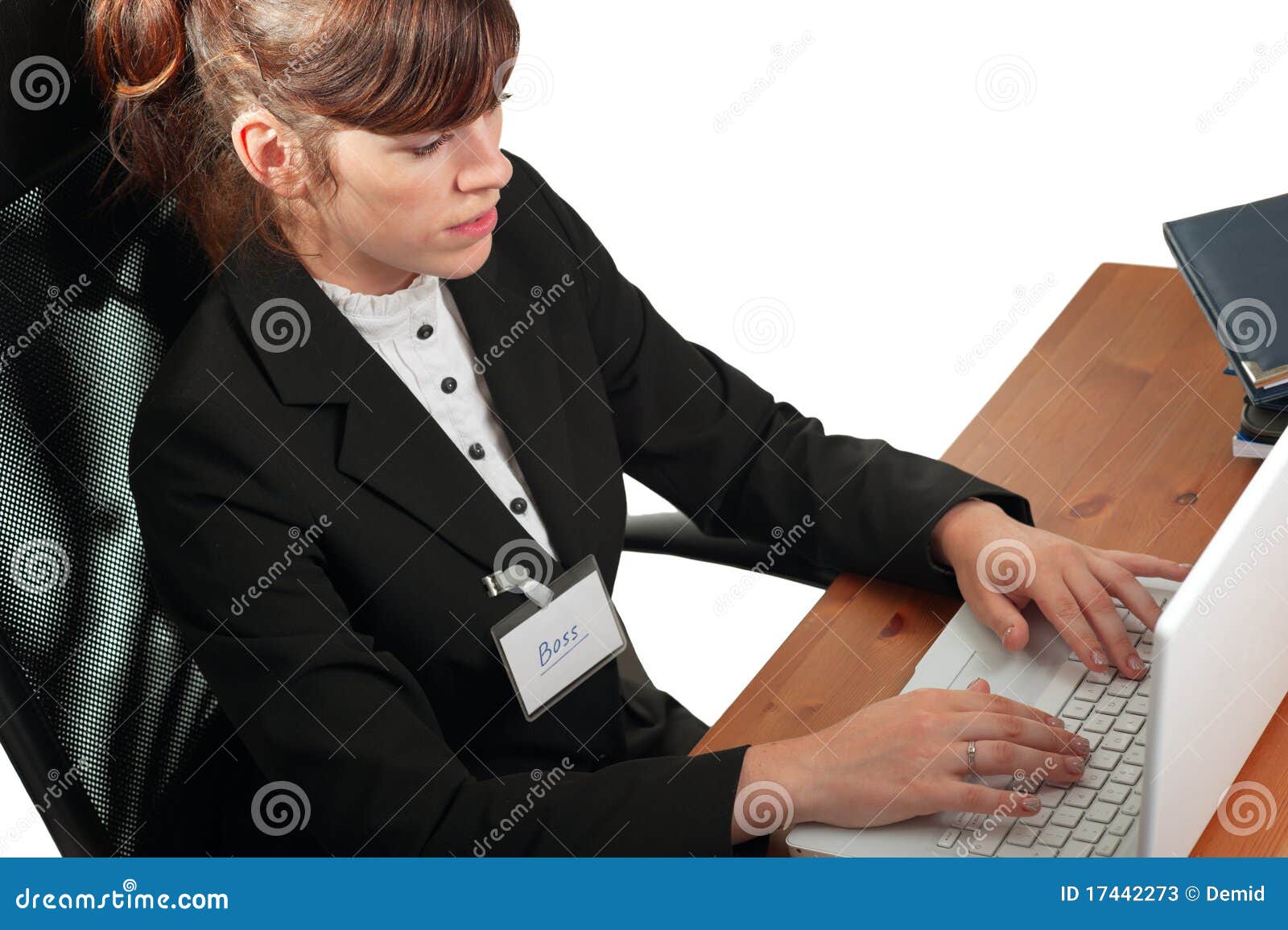 Business Lady with a Laptop Stock Image - Image of busy, female: 17442273