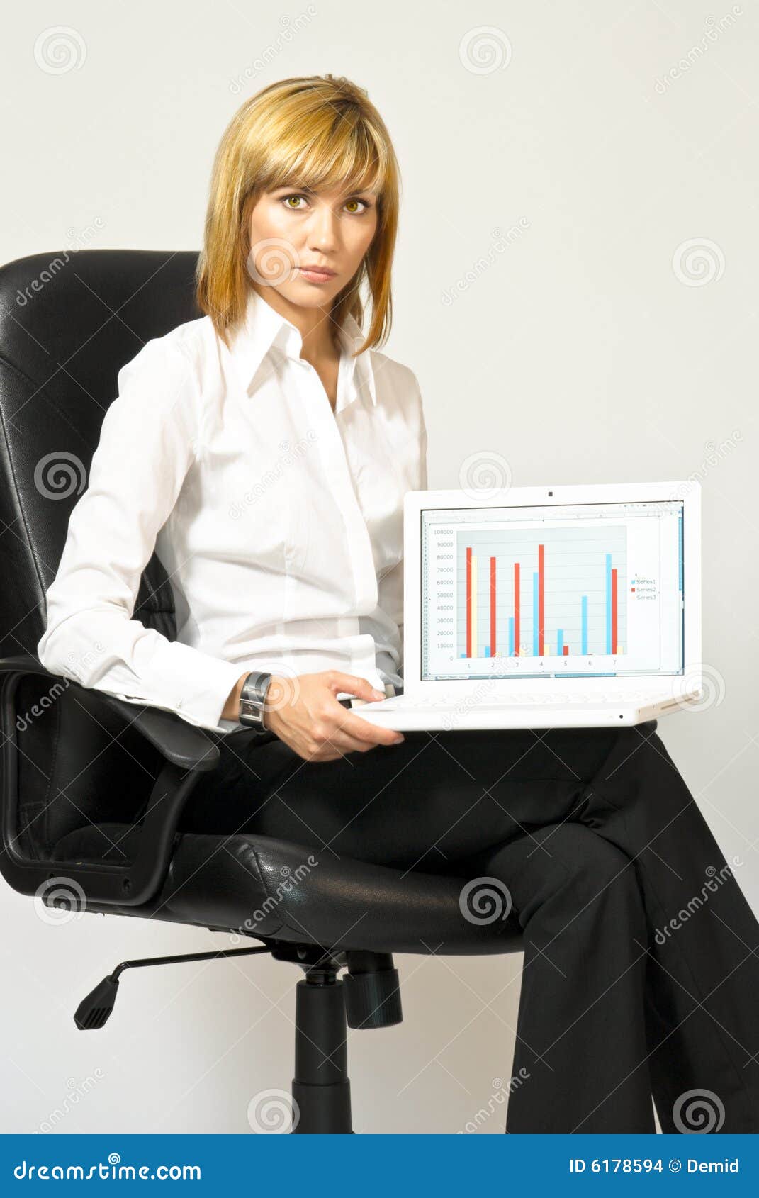Business Lady with Laptop stock photo. Image of occupation - 6178594
