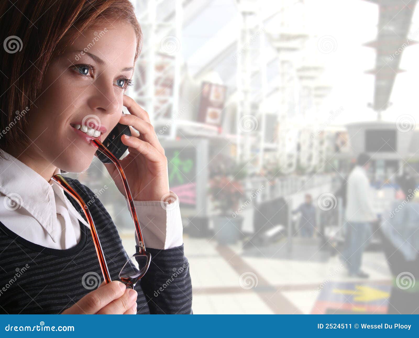 Business Lady on phone stock image. Image of industry - 2524511