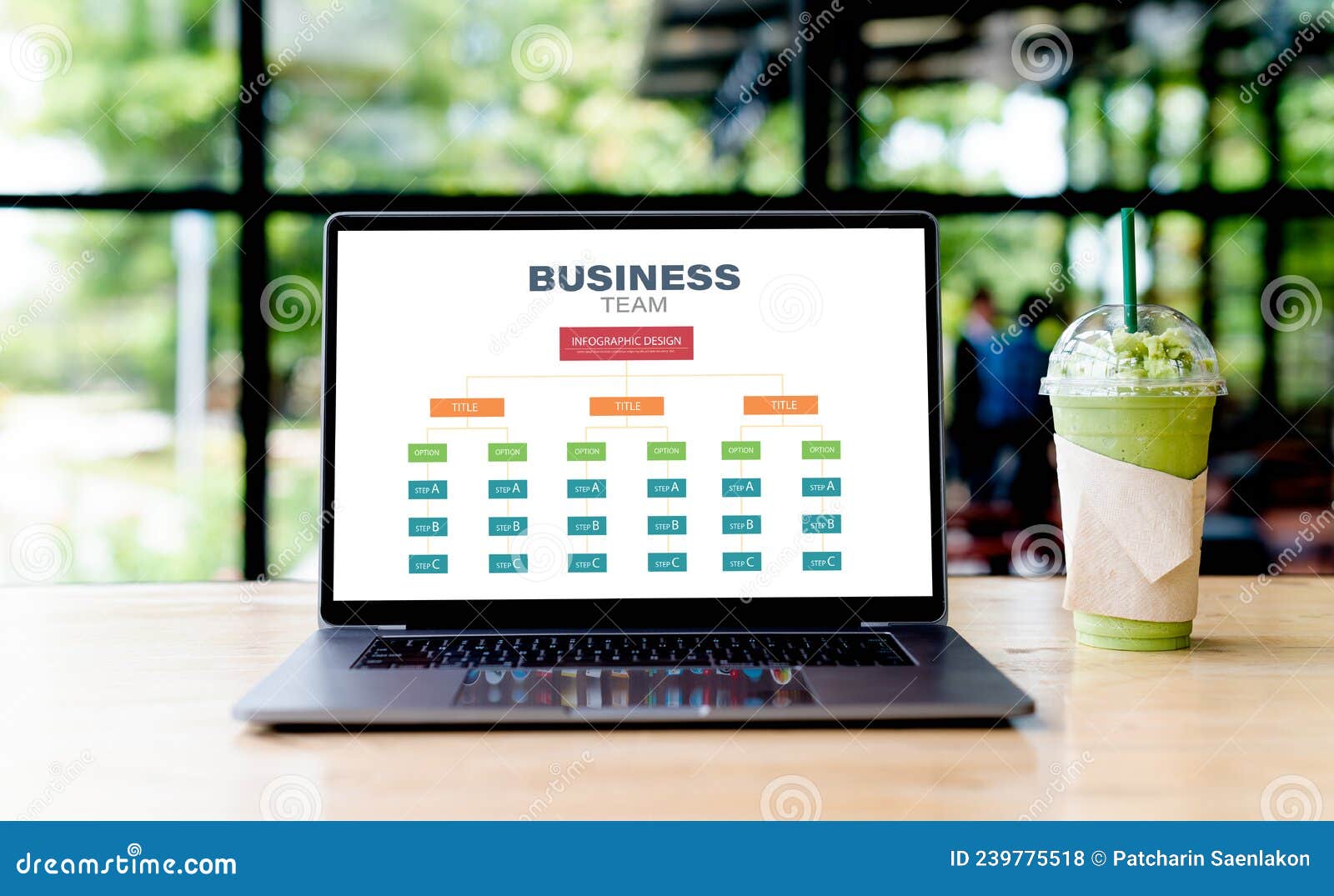 Business Laptops, Screenshots, Infographics, Teamwork and Well-planned ...