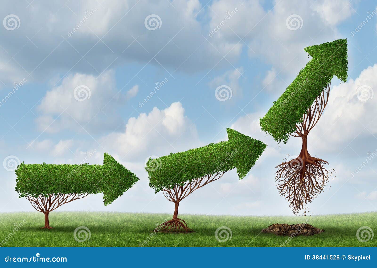 Maturing Stock Illustrations – 418 Maturing Stock Illustrations ...