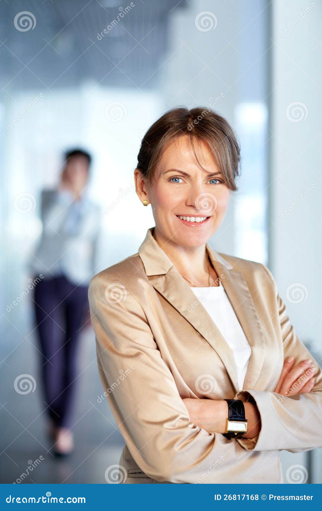 Business leader stock photo. Image of leadership, corporate - 26817168