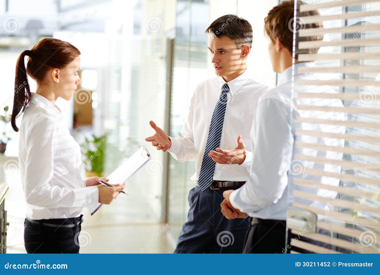 Explanation of tasks stock photo. Image of leader, businesswoman - 30211452