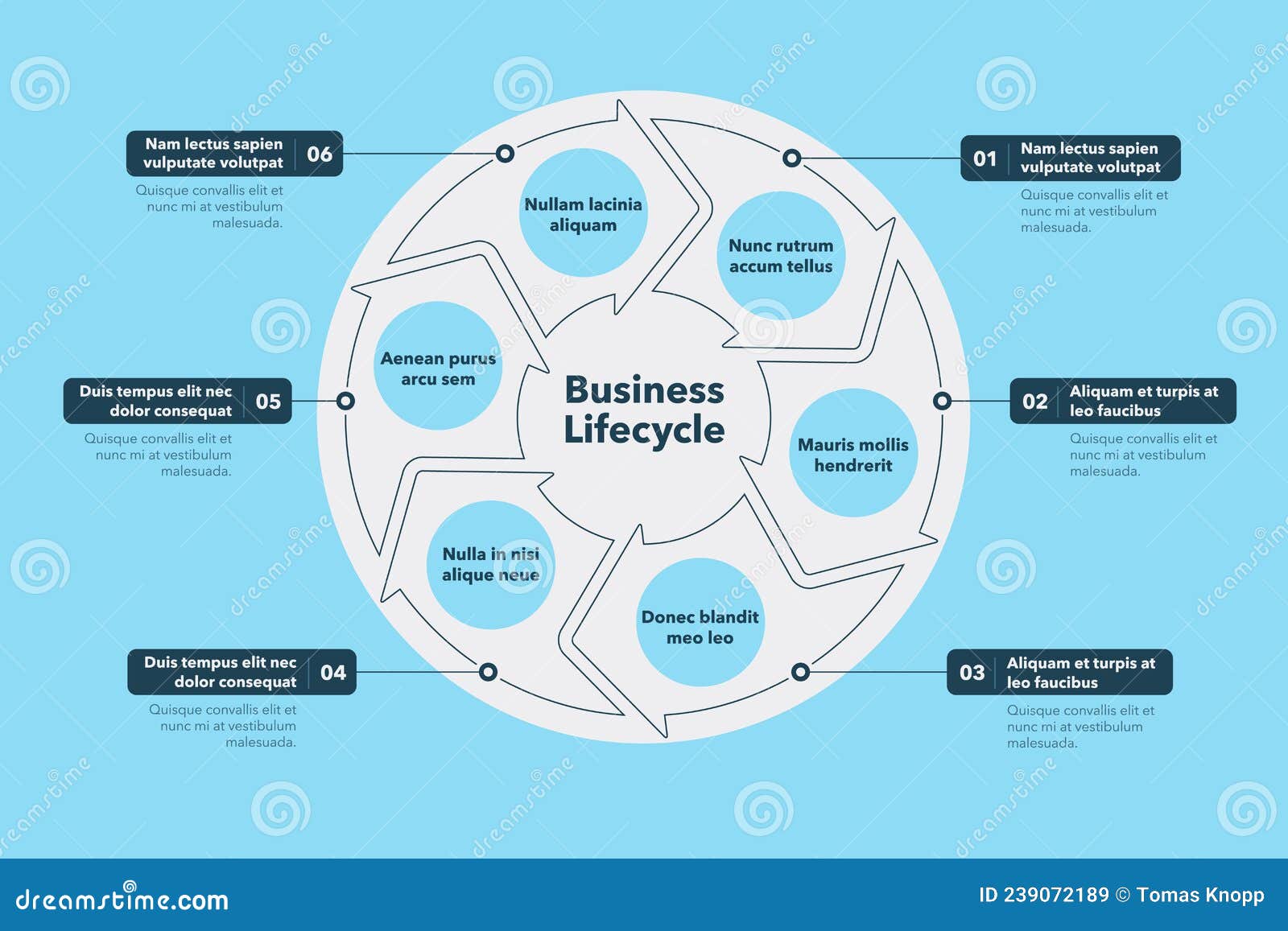 Business Lifecycle Template with Six Steps - Blue Version Stock Vector ...