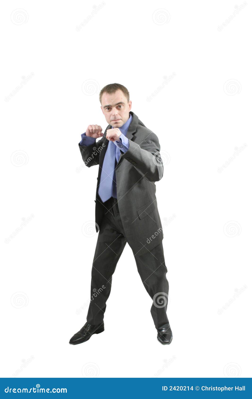 Business man stock photo. Image of people, salesman, face - 2420214