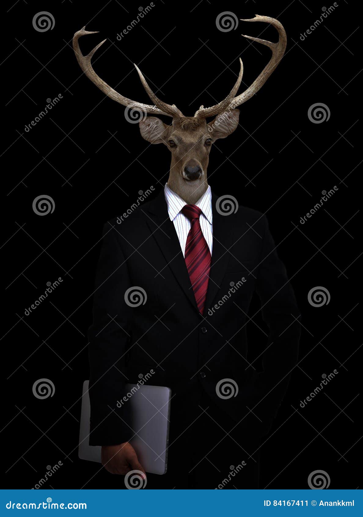 Business Man with Animal Head Stock Image - Image of work, studio: 84167411