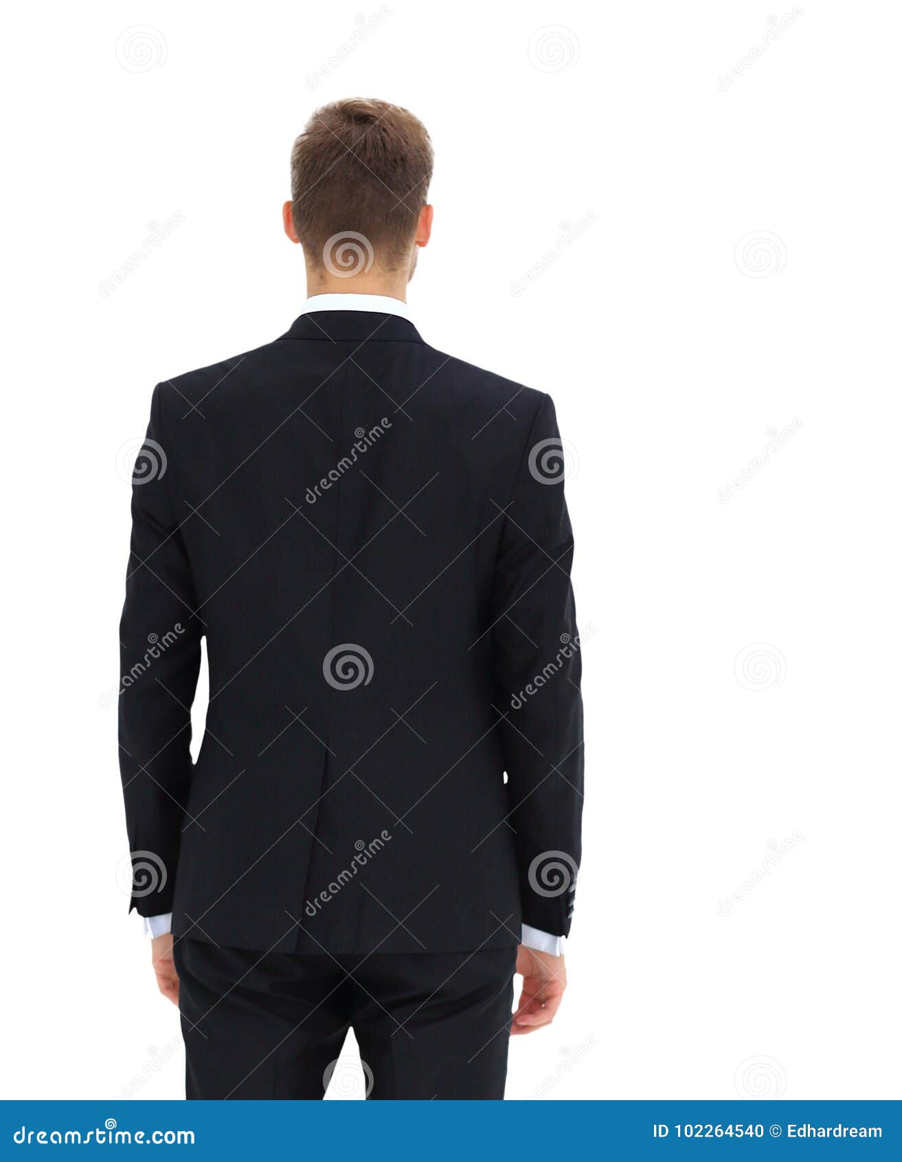 Business man. Back side. stock photo. Image of concept - 102264540