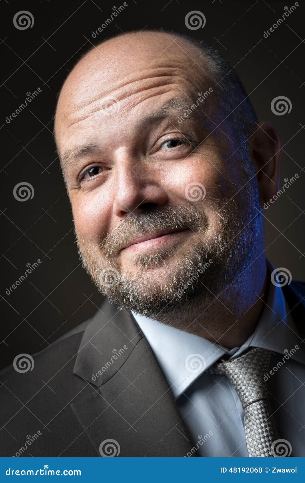 Business man stock photo. Image of bald, person, caucasian - 48192060