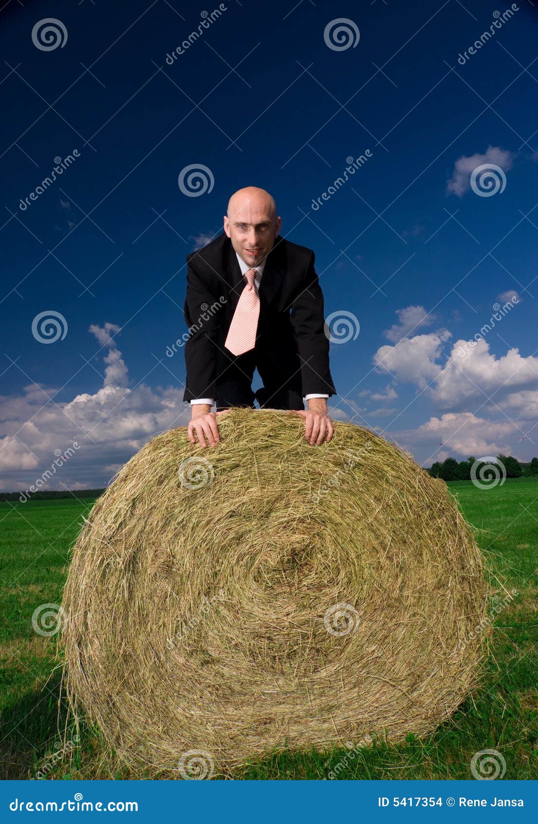 Business Man on a Bale of Hay Stock Photo - Image of happy, farm: 5417354