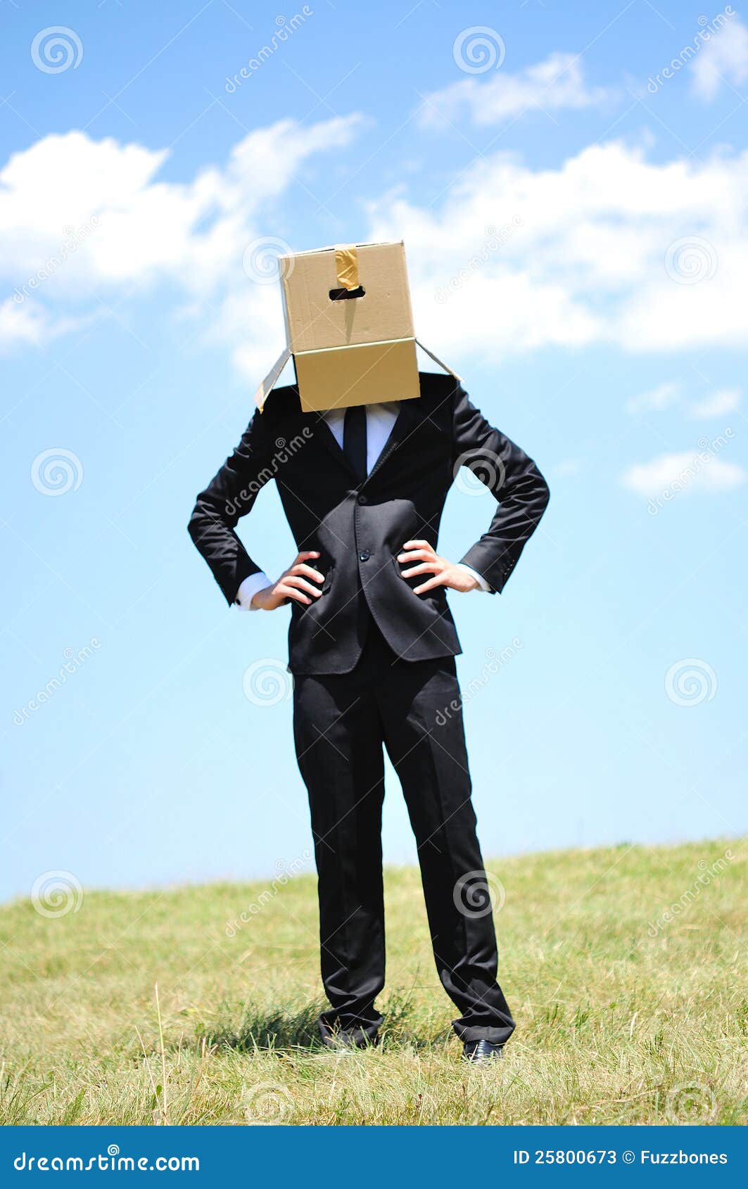 Business Man with Box on Head Stock Image - Image of head, grass: 25800673