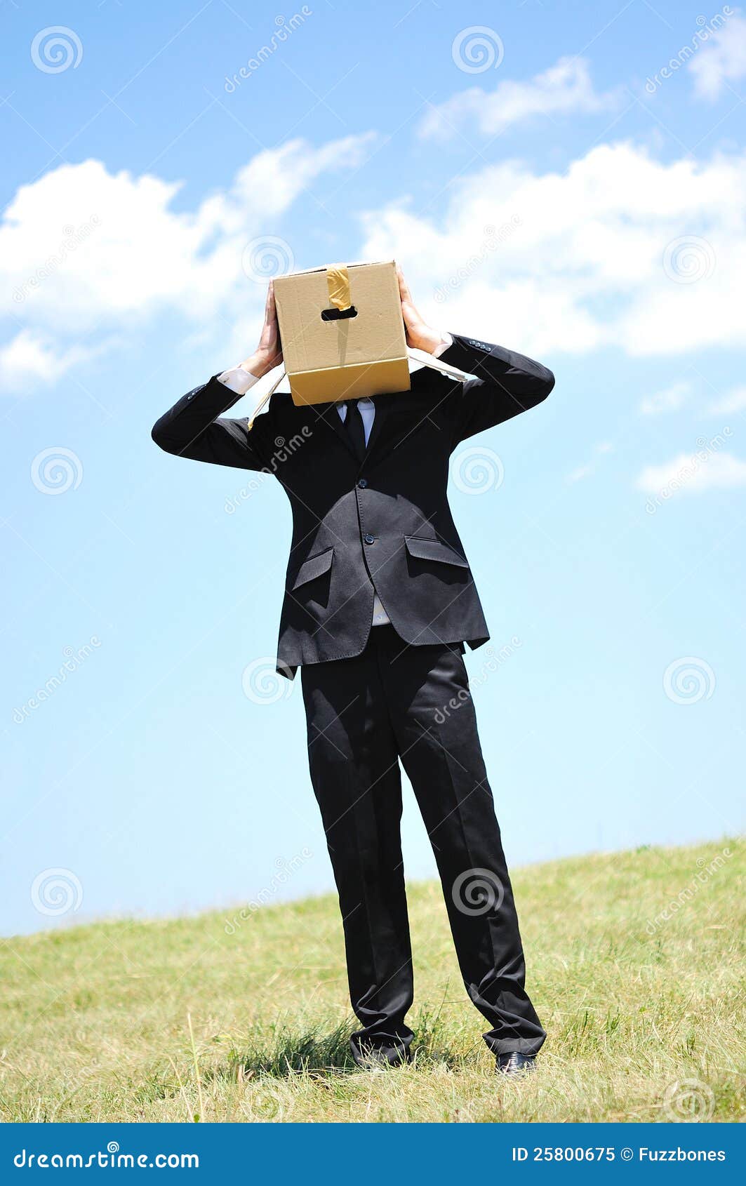 Business Man with Box on Head Stock Image - Image of outdoor, natural ...