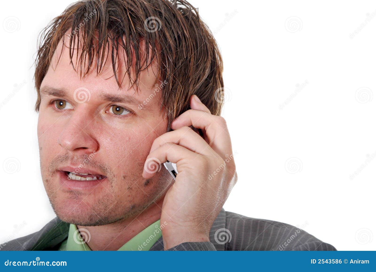 Business Man Calling stock photo. Image of male, conversation - 2543586