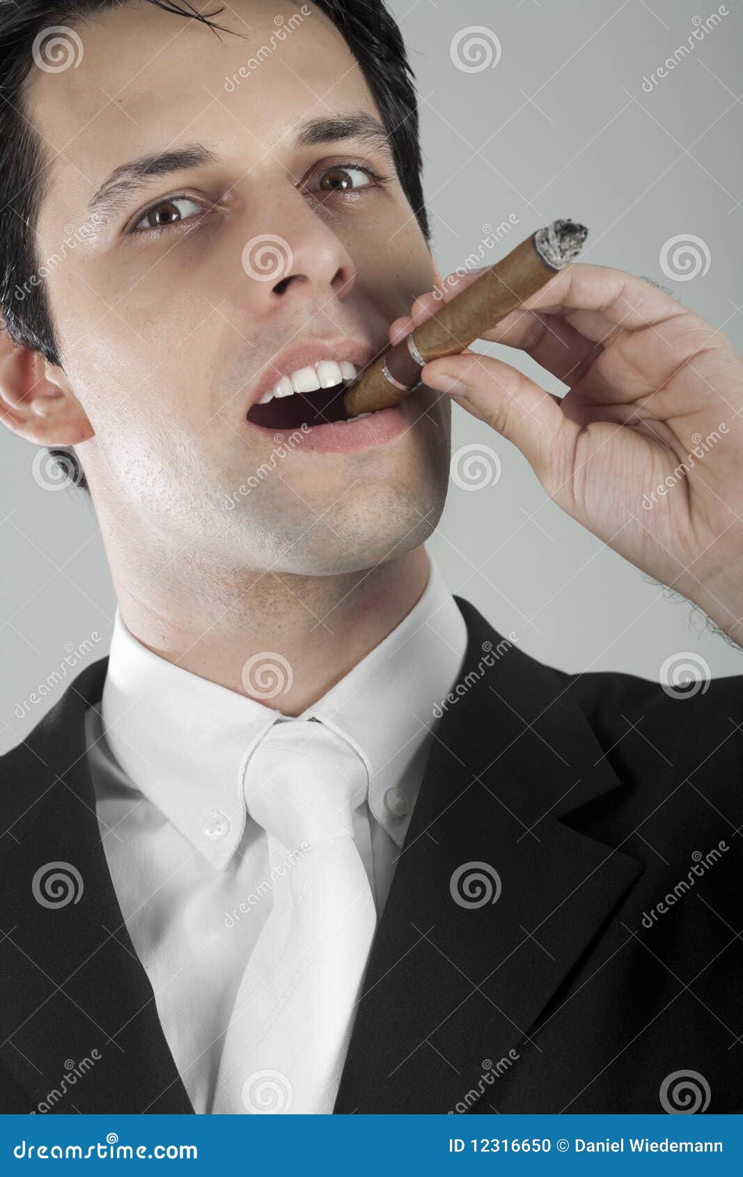 Business Man with Cigar stock photo. Image of shot, elegant - 12316650