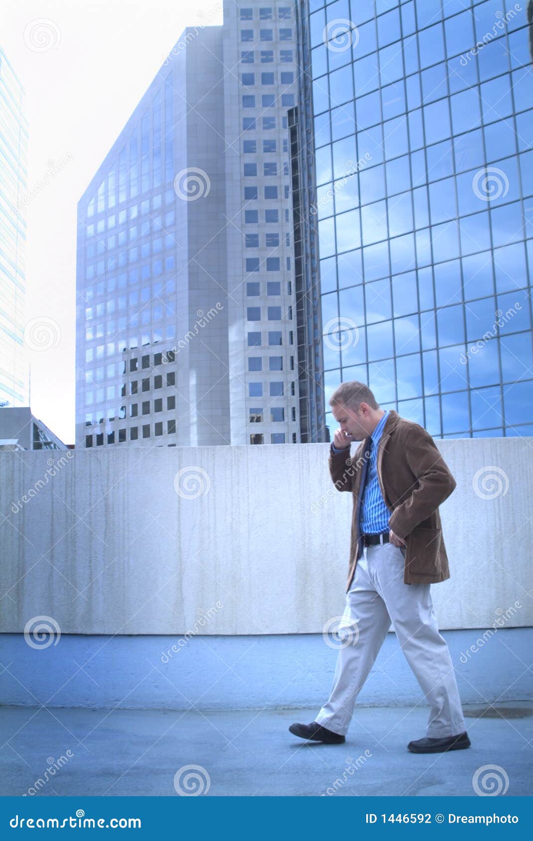 Business man communicating stock photo. Image of manager - 1446592