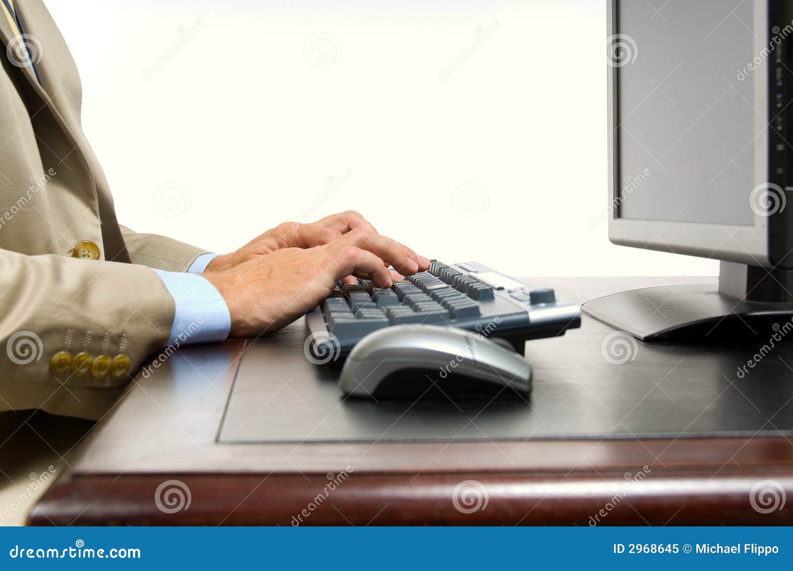Business man on computer stock image. Image of productivity - 2968645