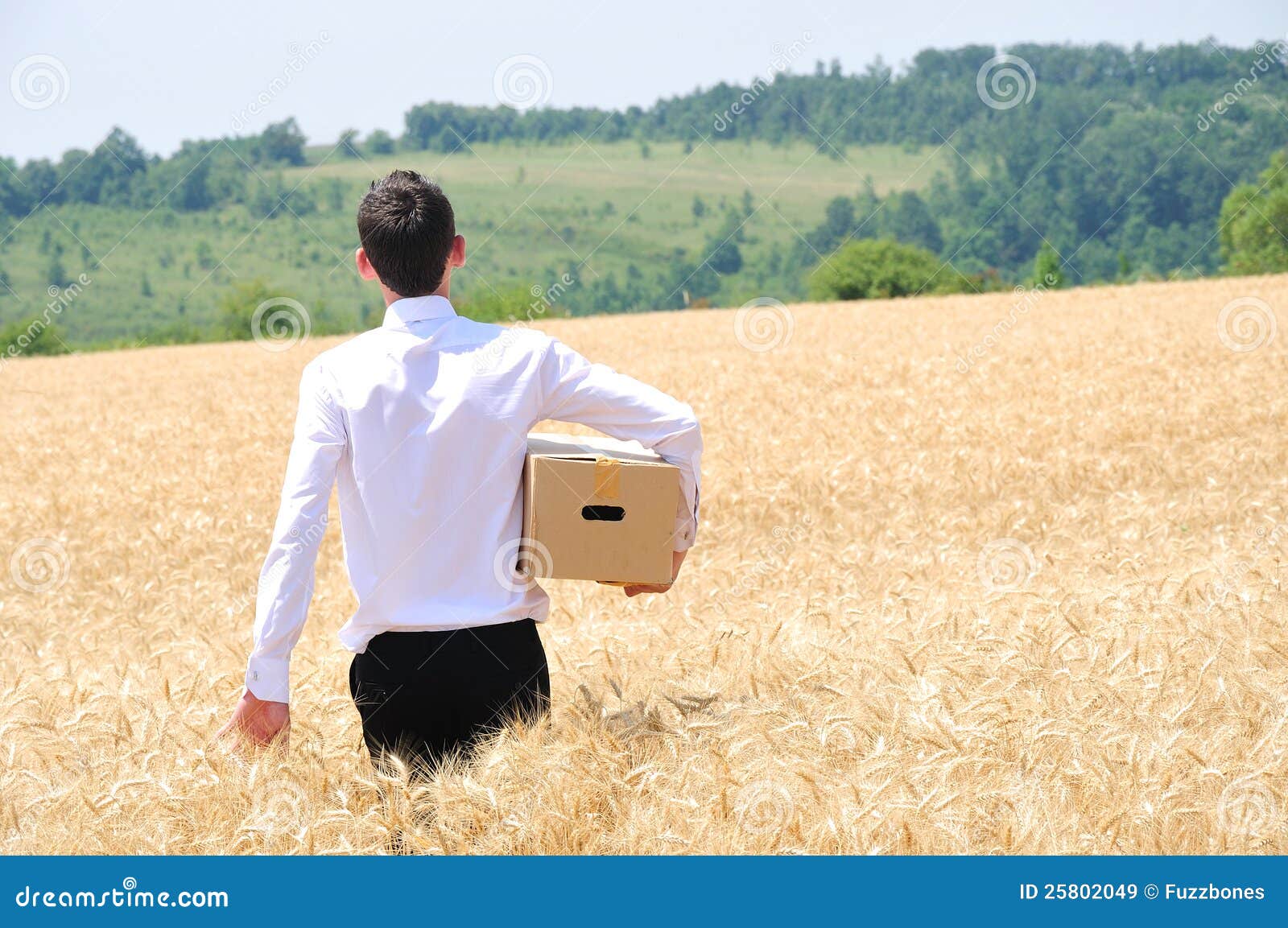 Business Man Delivering Box Stock Image - Image of farming, field: 25802049