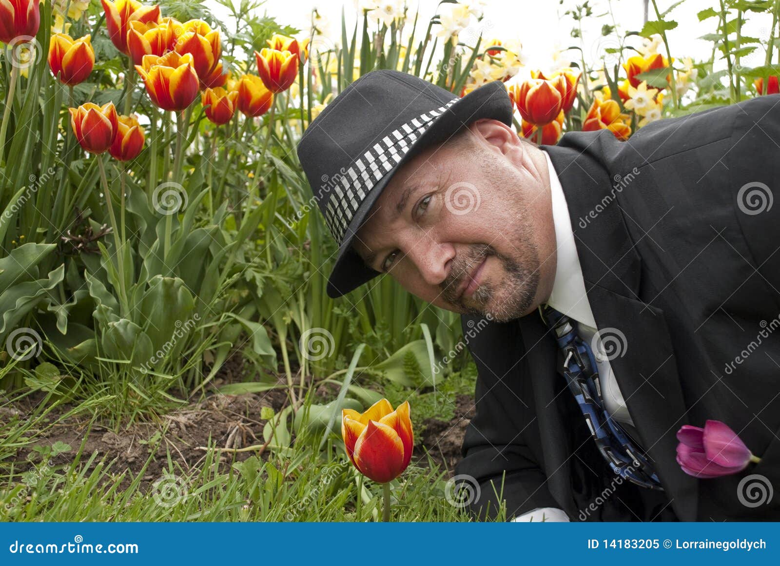 Business man face tulips stock image. Image of flowers - 14183205