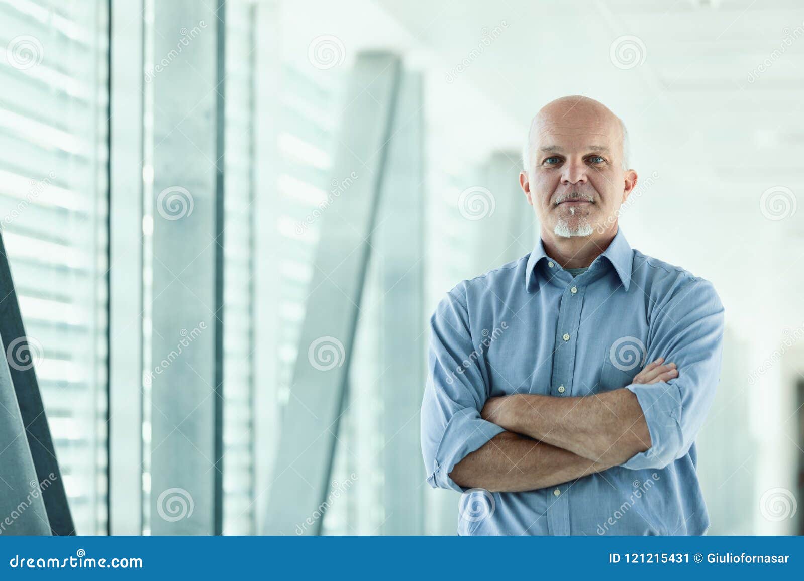 Business Man Facing the Camera Stock Image - Image of goatees ...