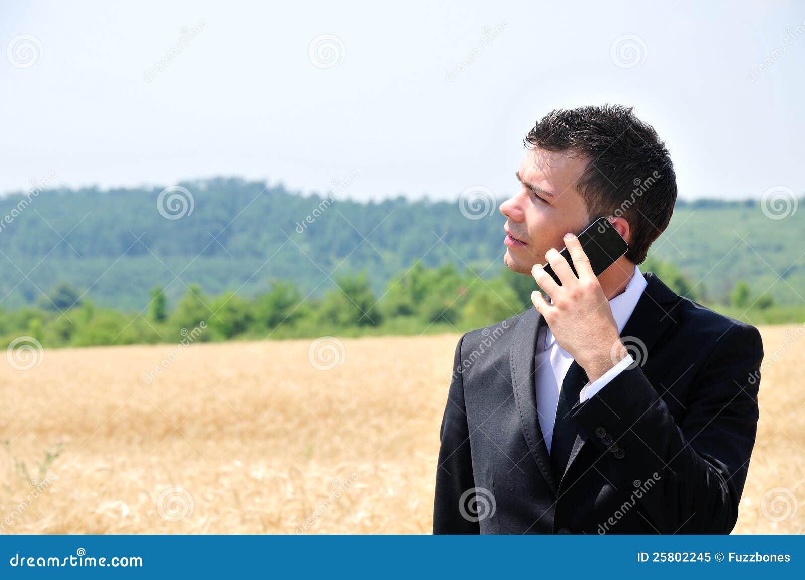 Business man on field stock image. Image of modern, manager - 25802245