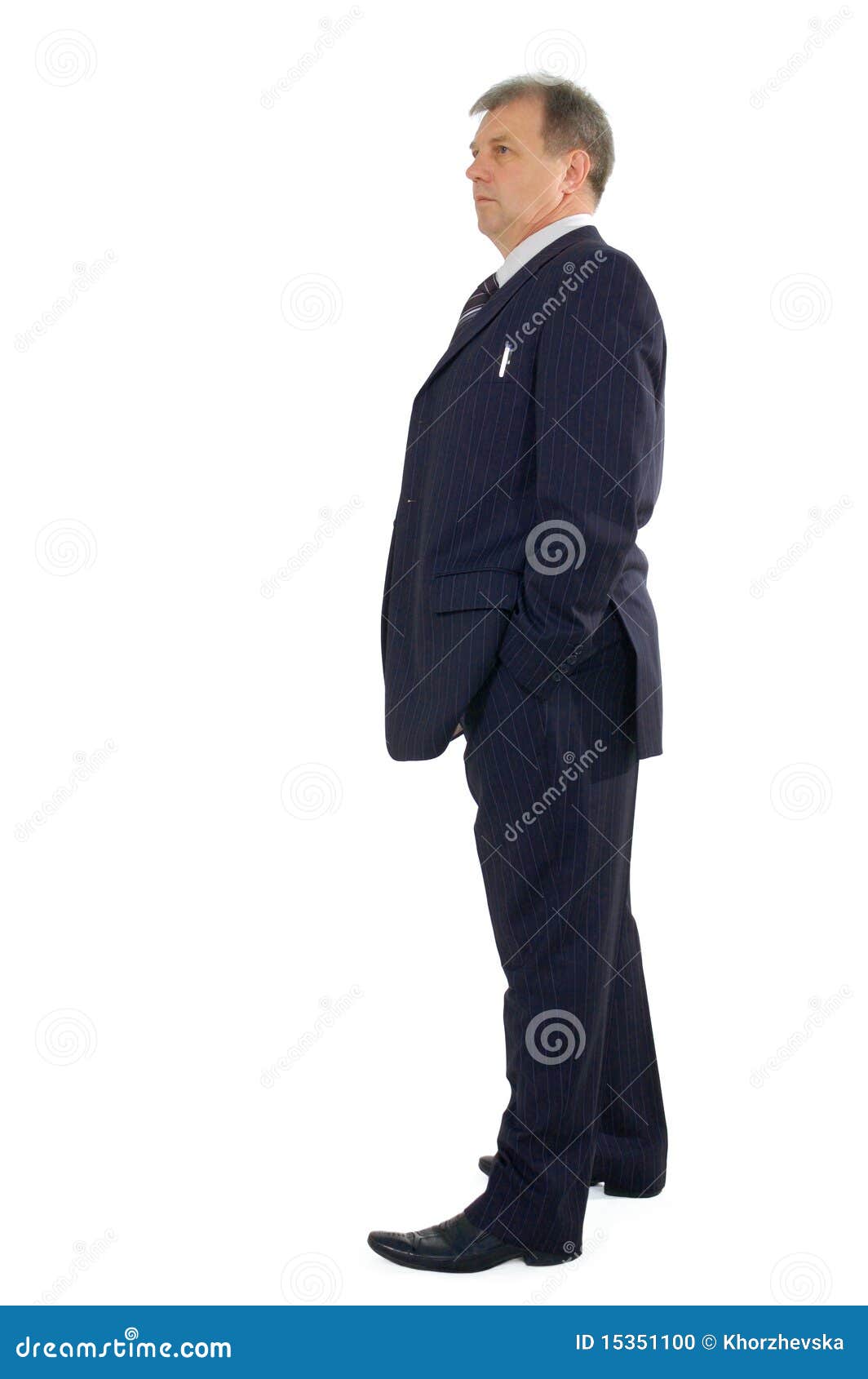 Business man full-length stock photo. Image of copyspace - 15351100