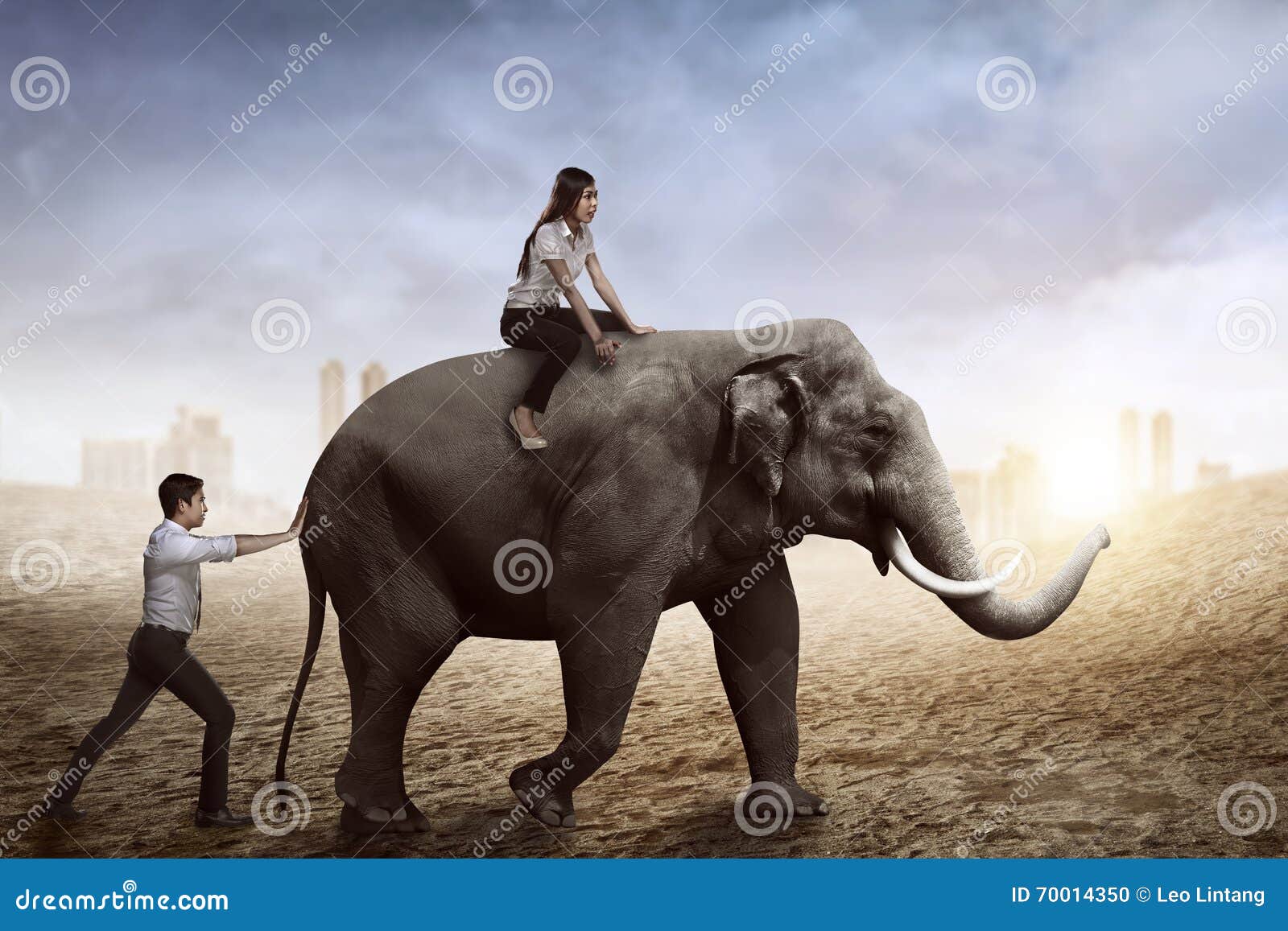 Business Man Help Pushing Elephant while His Friend Sit on it Stock ...