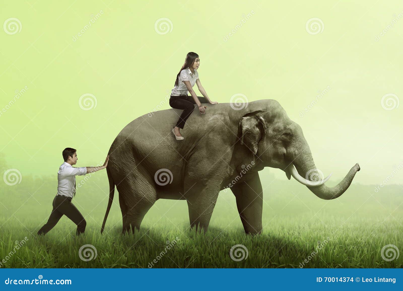 Business Man Help Pushing Elephant while His Friend Sit on it Stock ...